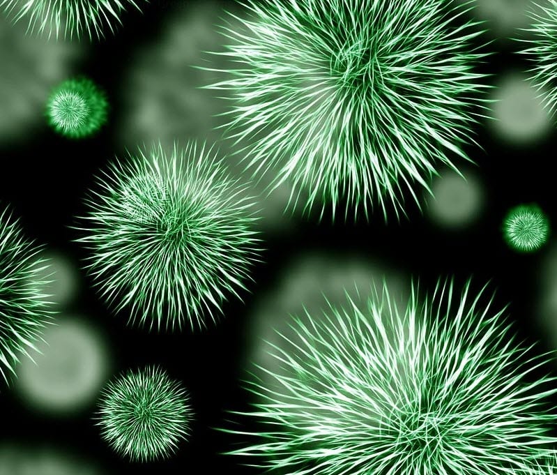 Does Xzilon Really Make Your Car Shine on a Molecular Level? - Does It ...